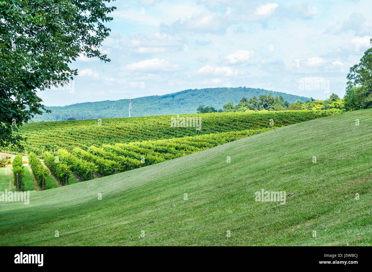 Virginia landscape farm mountains hi-res stock photography and images ...
