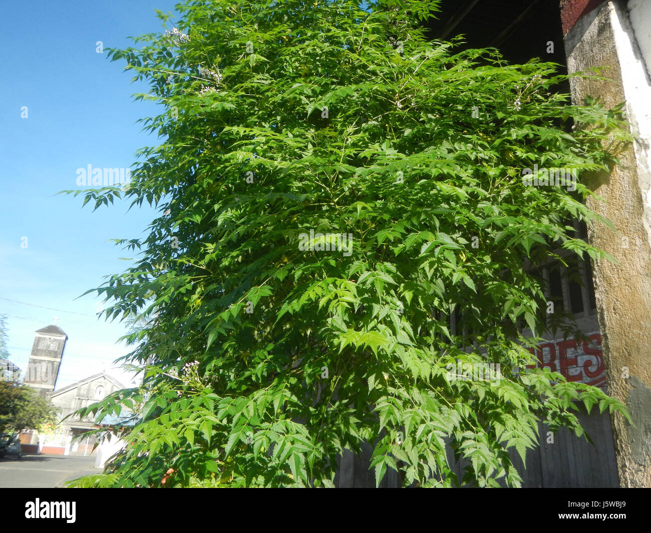This image depicts the San Vicente Bridge, Chapel, and roads near the ...