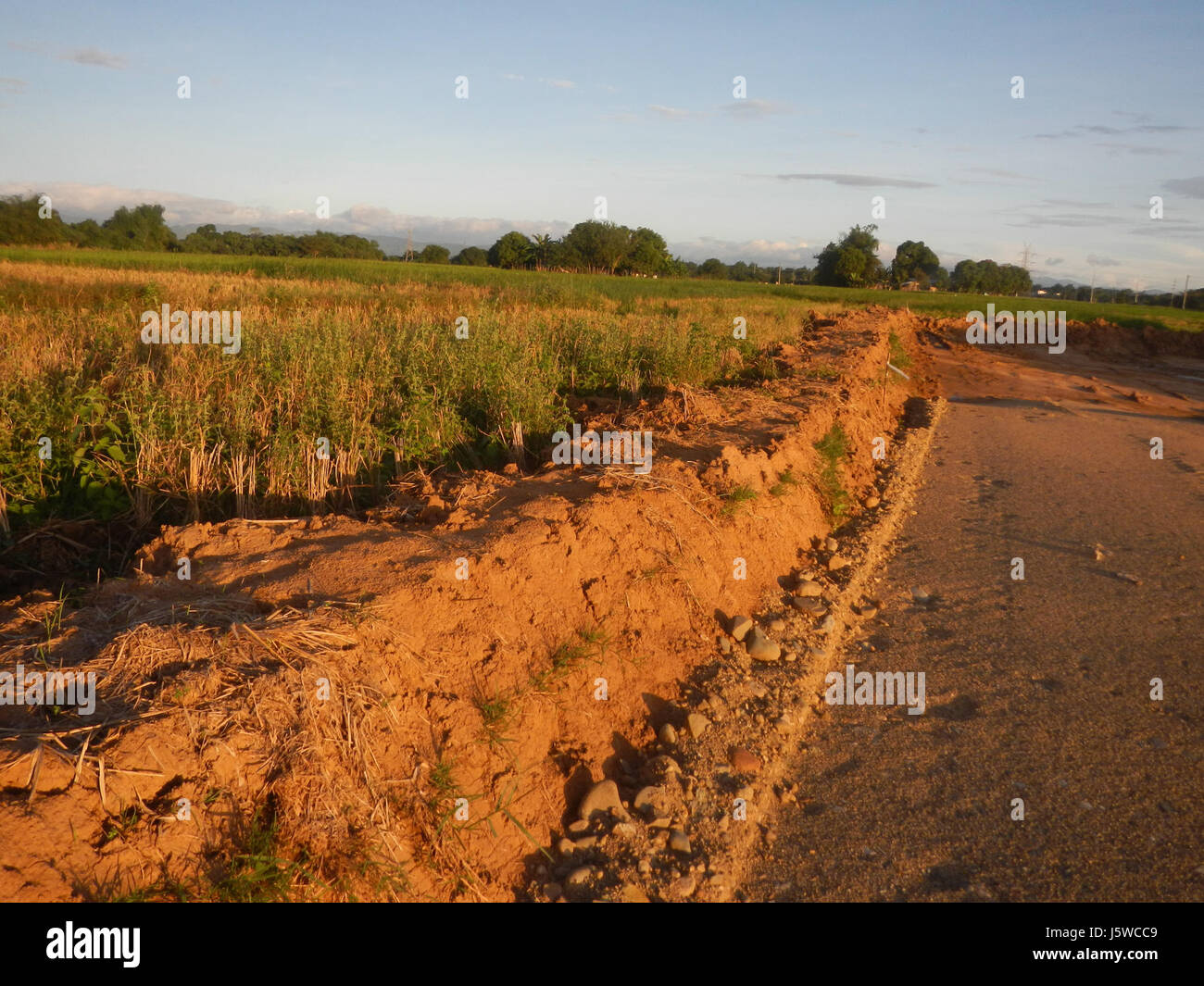 01972 Plaridel Bypass Arterial Road Bypass Project, Phase II San Rafael ...