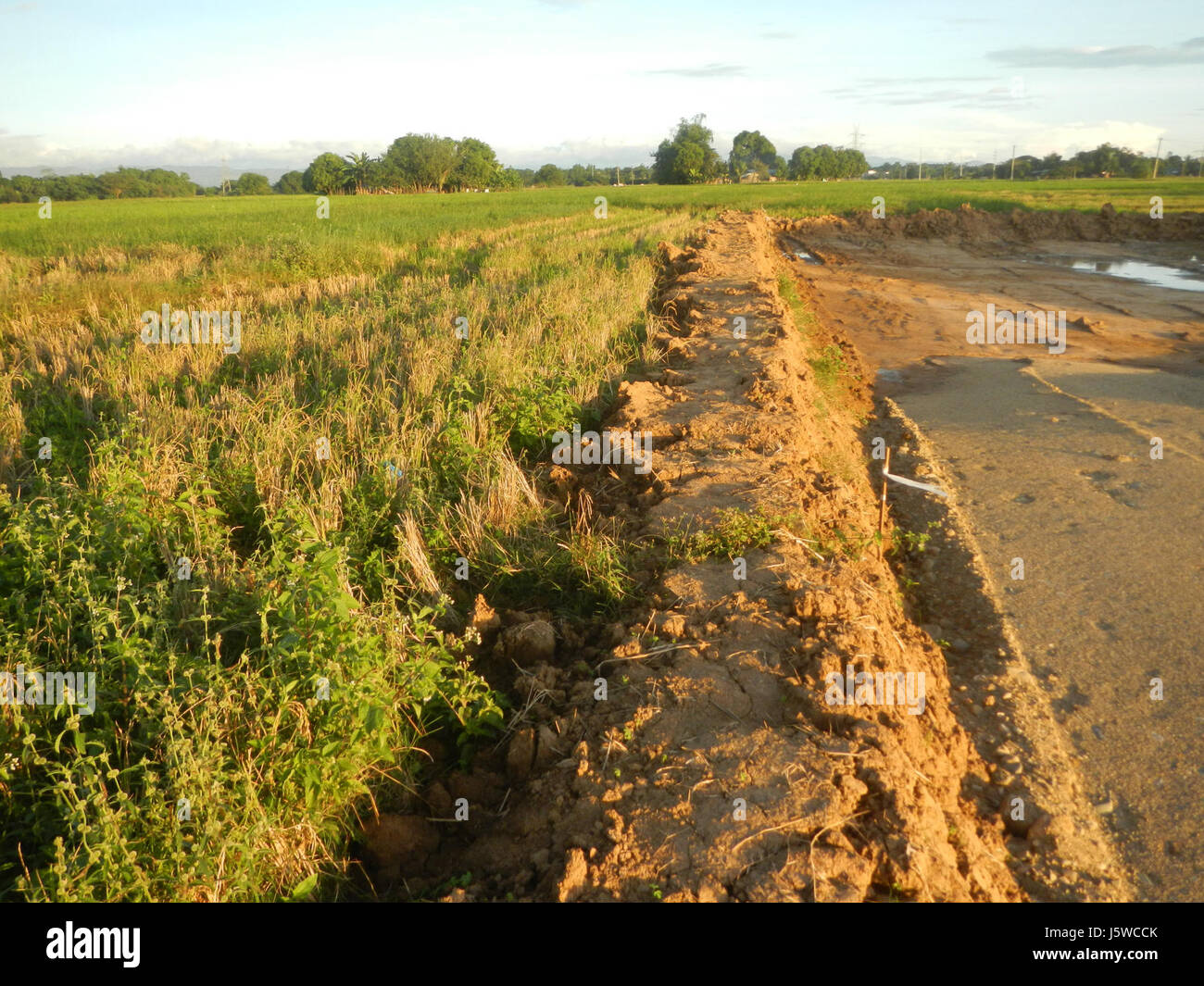 01972 Plaridel Bypass Arterial Road Bypass Project, Phase II San Rafael ...
