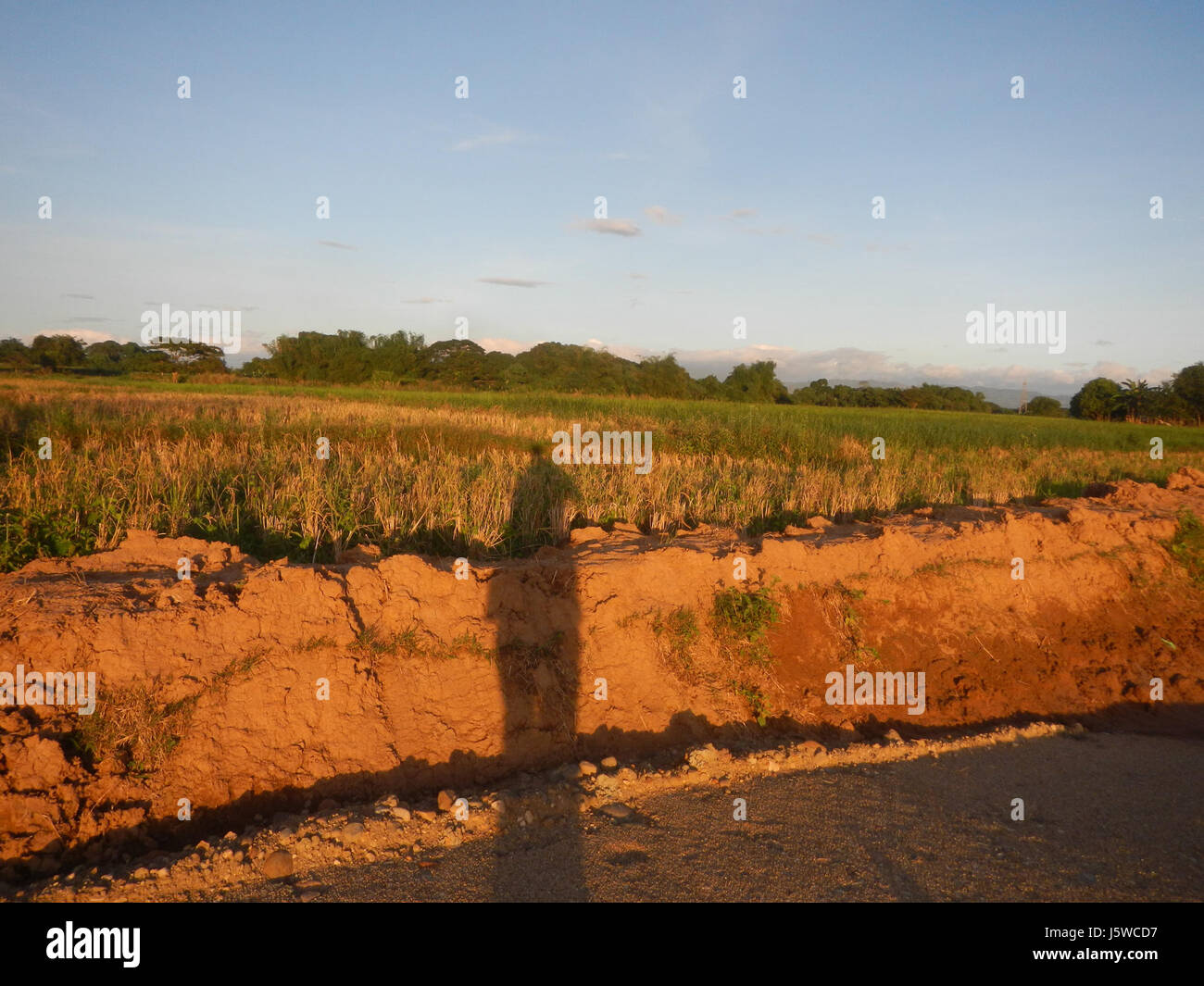 01995 Plaridel Bypass Arterial Road Bypass Project, Phase II San Rafael ...