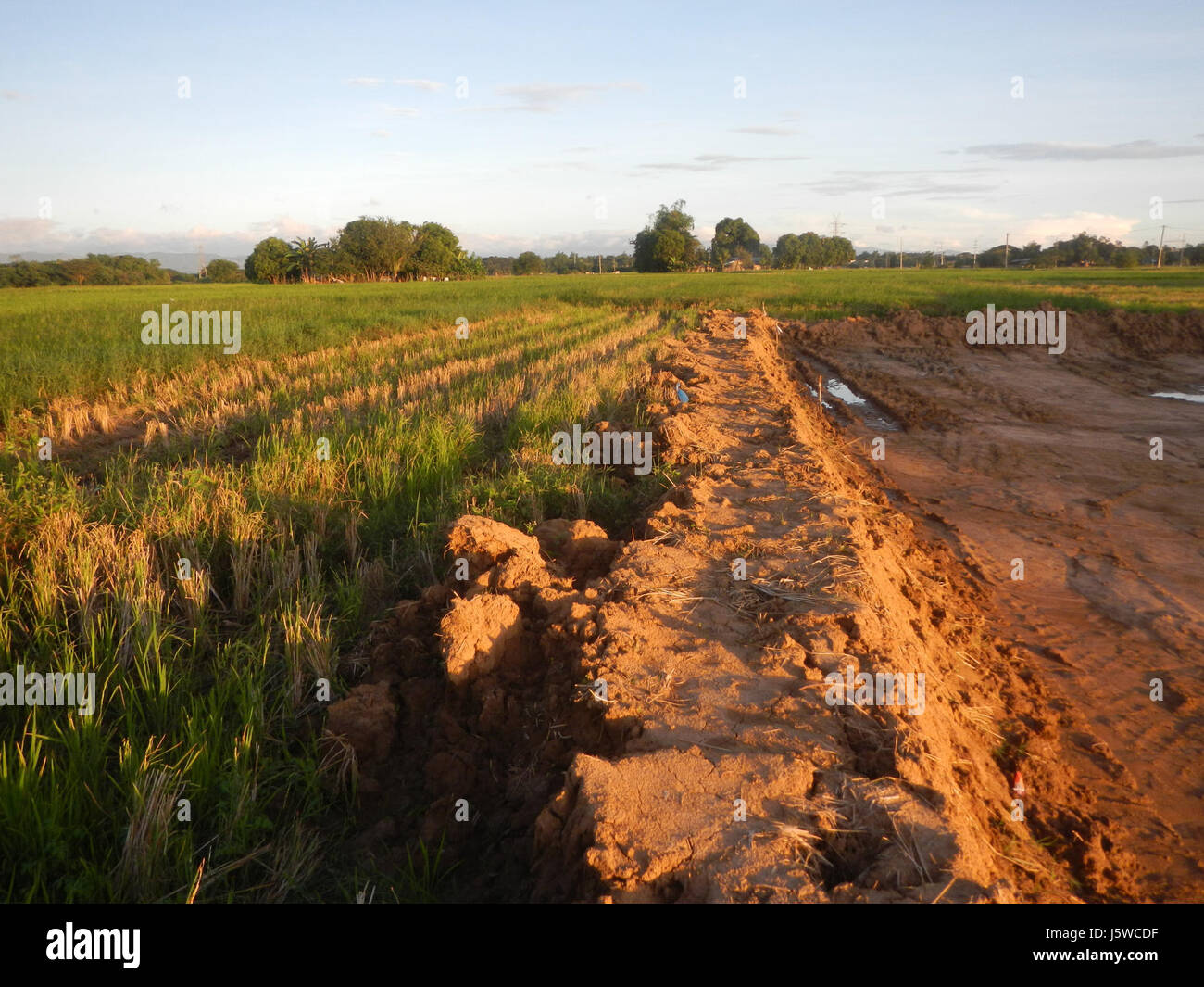 01995 Plaridel Bypass Arterial Road Bypass Project, Phase II San Rafael ...
