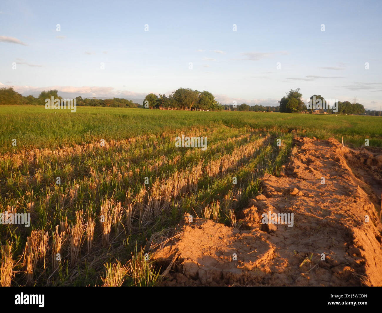 01995 Plaridel Bypass Arterial Road Bypass Project, Phase II San Rafael ...
