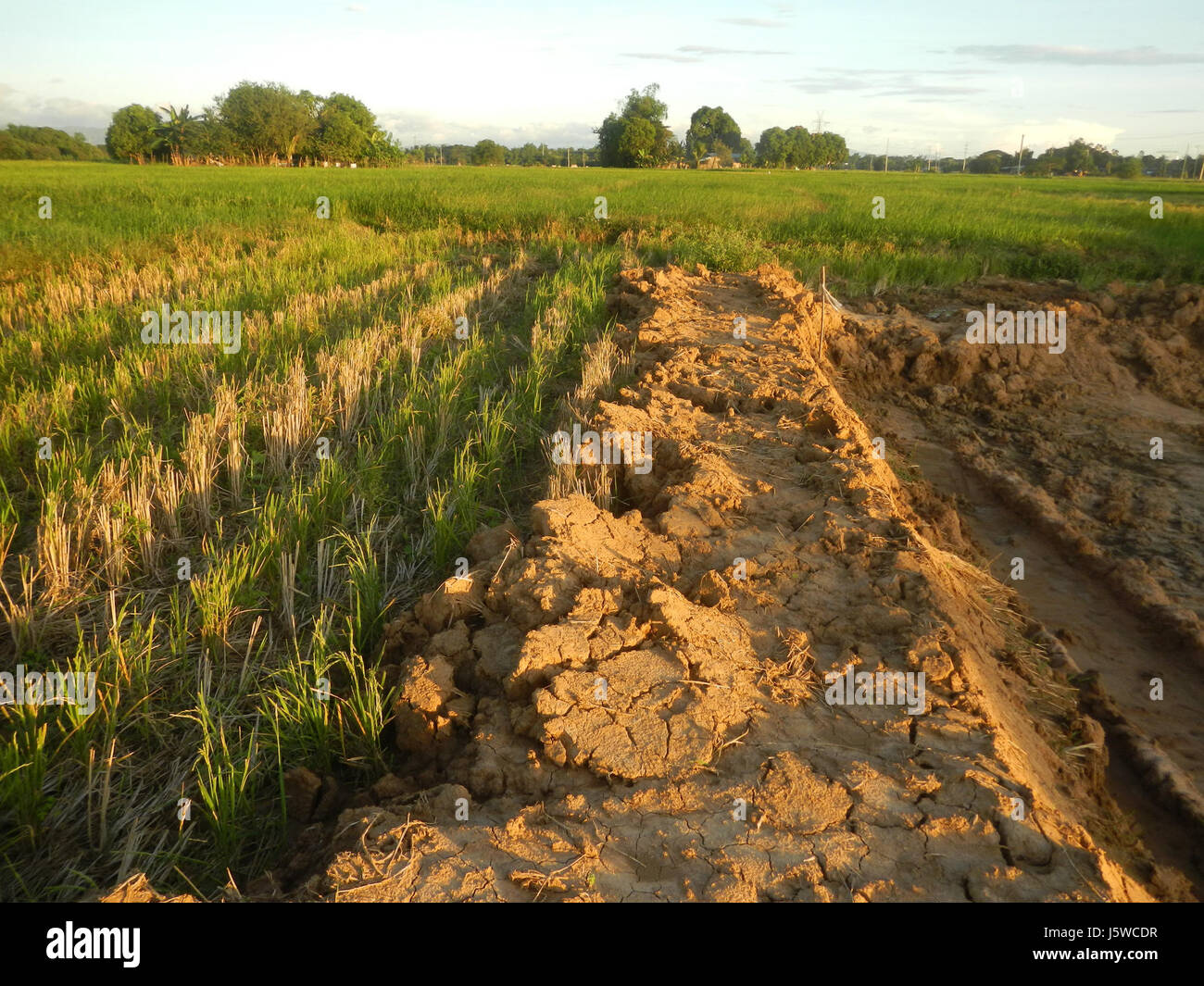 The Plaridel Bypass Arterial Road Bypass Project Phase II, located in ...