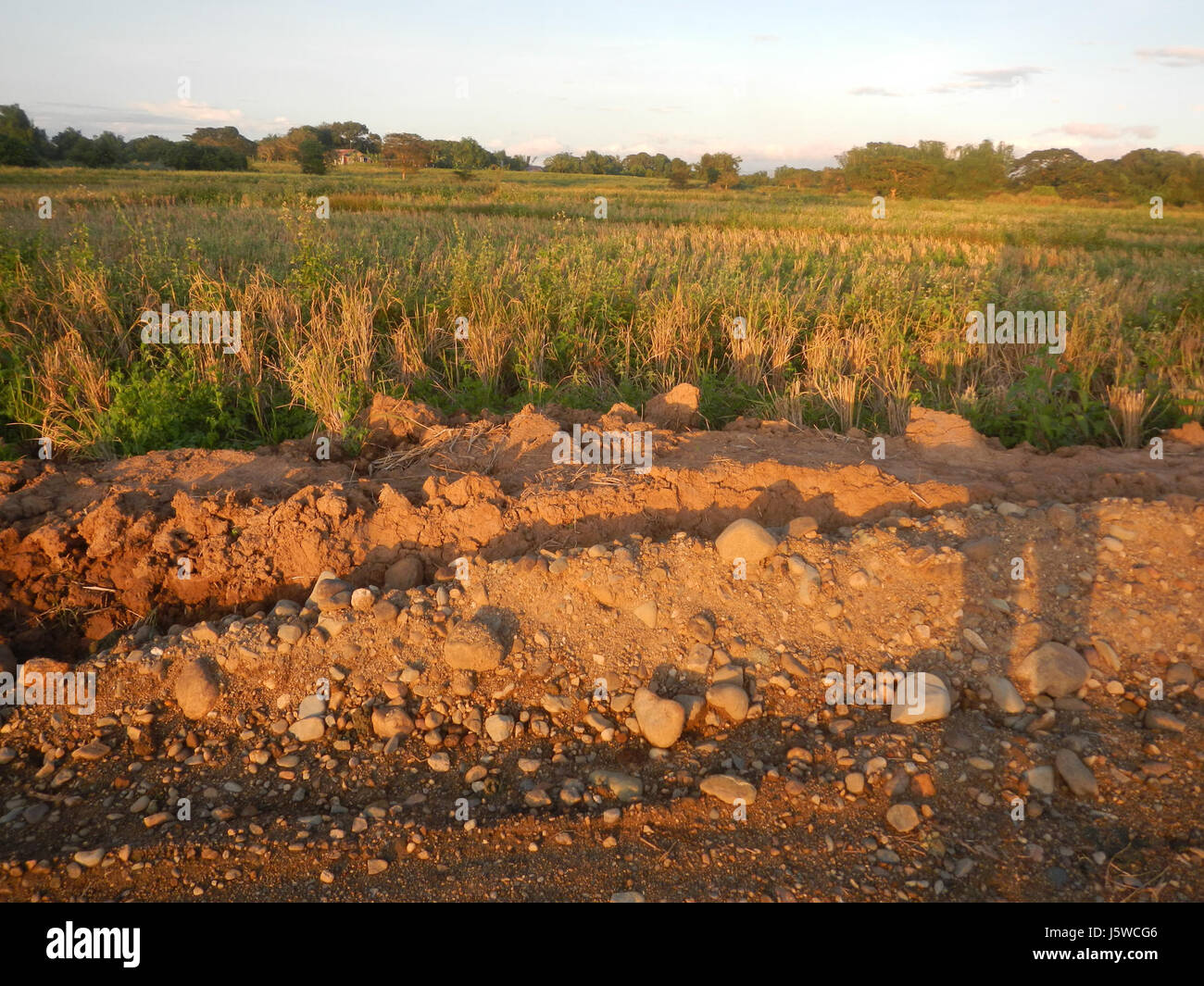 02072 Plaridel Bypass Arterial Road Bypass Project, Phase II San Rafael ...