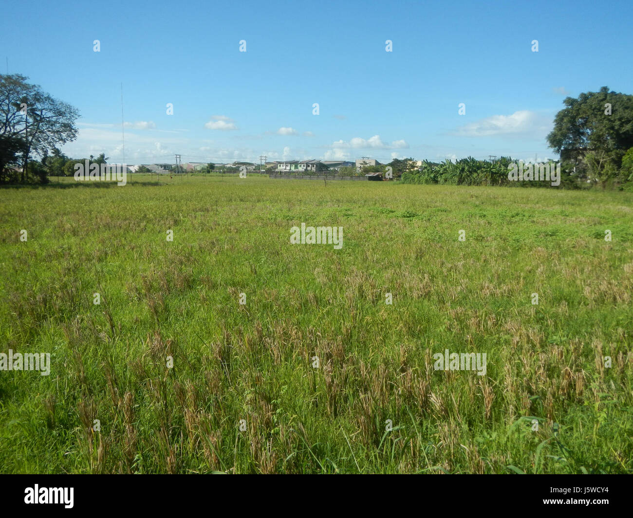 This image captures the rural landscape of Wakas, Bocaue, Bulacan ...