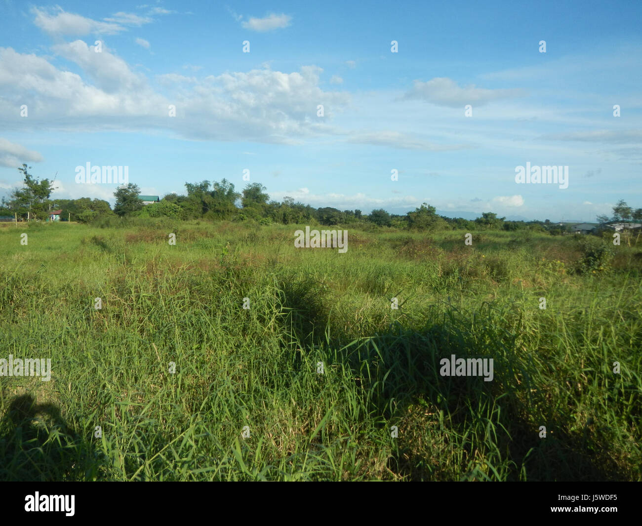 00202 Barangays Tambubong Batia Bocaue Bulacan Fields Roads 21 Stock ...