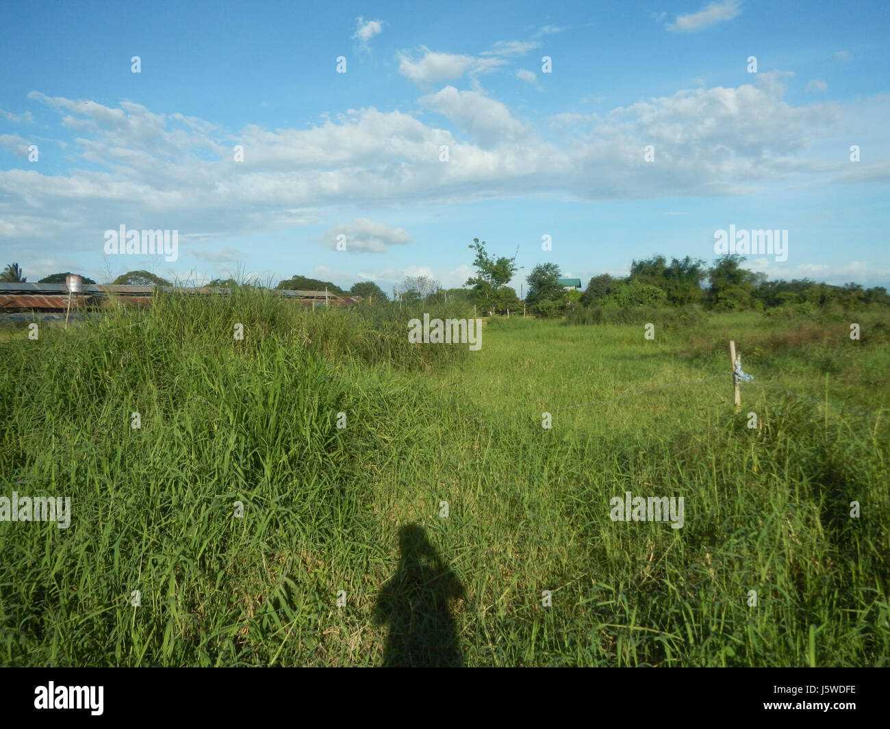 0227 Barangays Tambubong Batia Bocaue Bulacan Fields Roads 02 Stock ...
