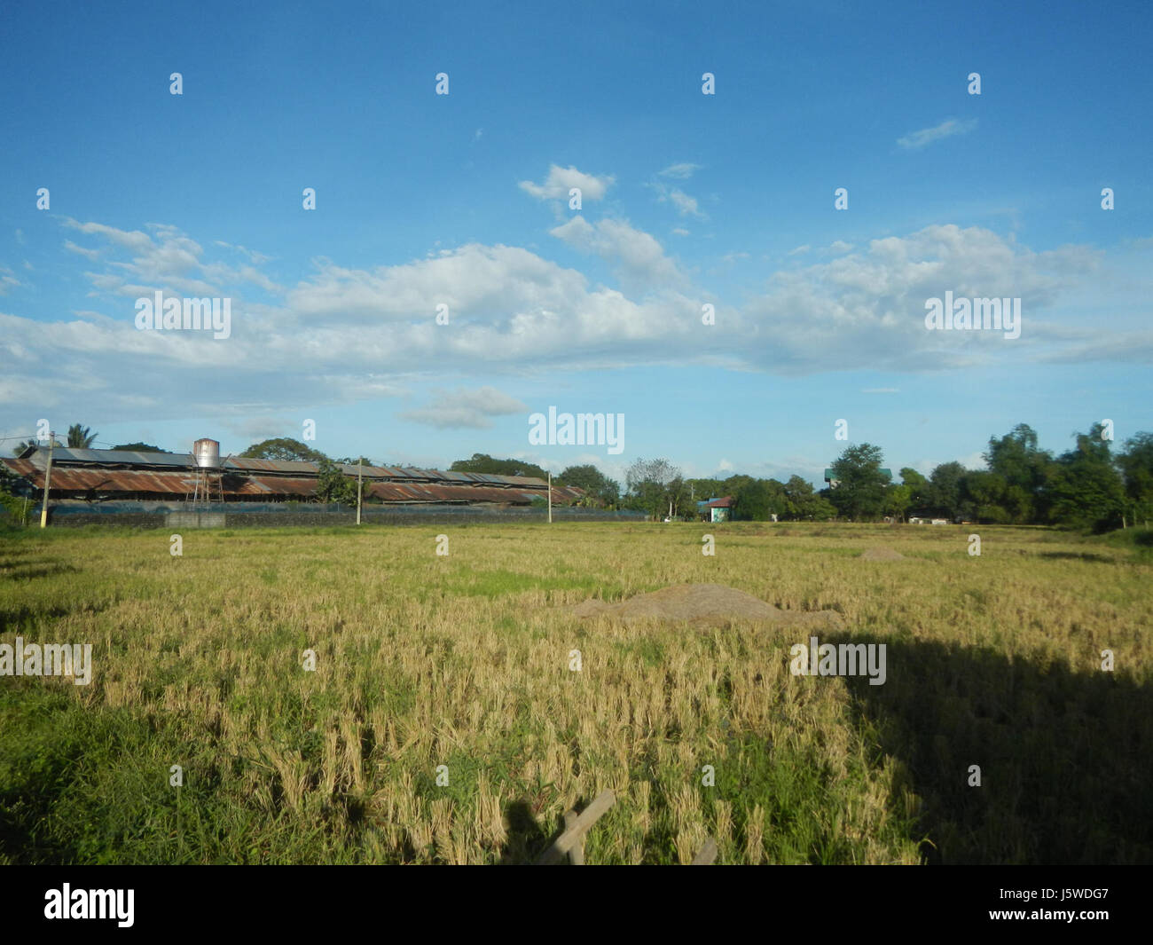 0227 Barangays Tambubong Batia Bocaue Bulacan Fields Roads 23 Stock ...