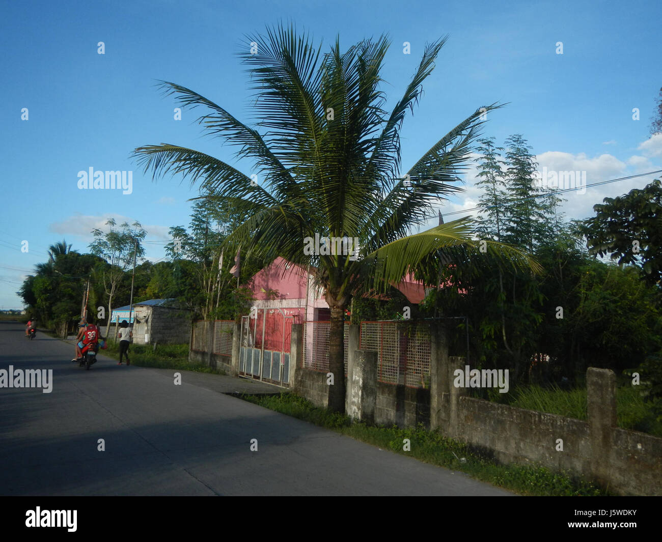 0323 BarangaysTambubong Batia Bocaue Bulacan Fields Roads 23 Stock ...