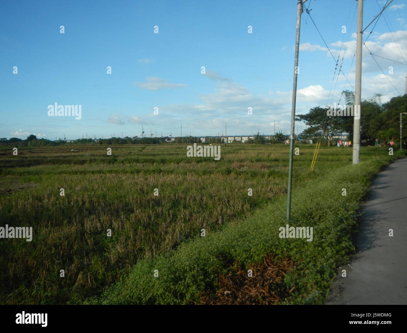 0349 Barangay Batia Bocaue Bulacan Fields Roads 12 Stock Photo - Alamy