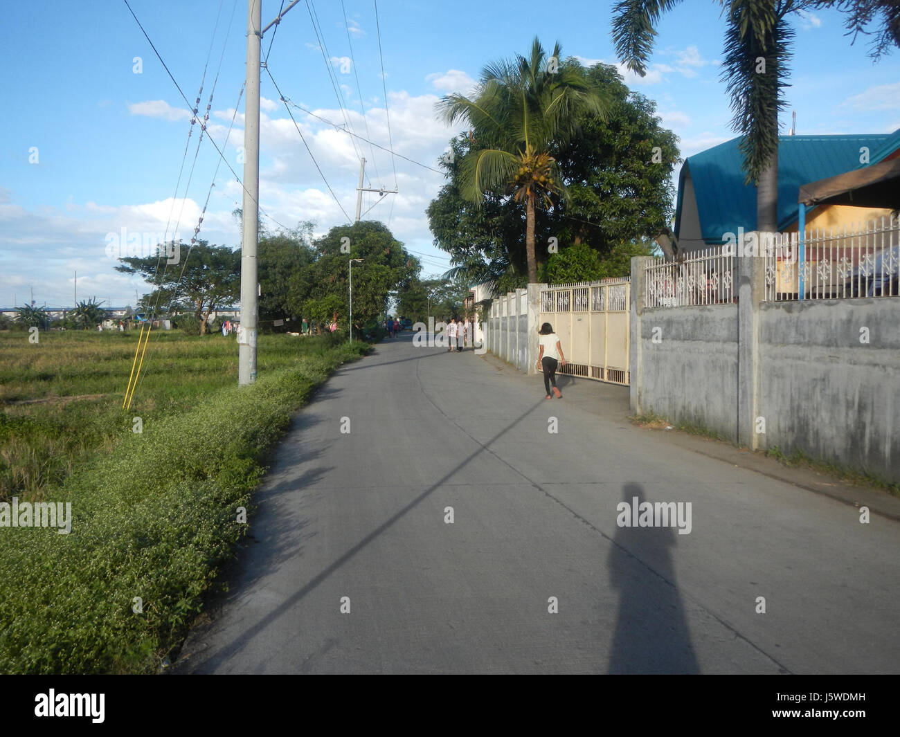 This image depicts agricultural fields and roads in Barangay Batia ...