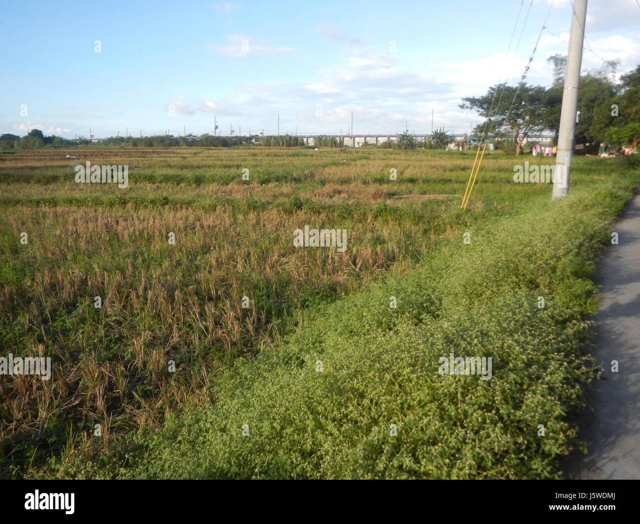0349 Barangay Batia Bocaue Bulacan Fields Roads 14 Stock Photo - Alamy