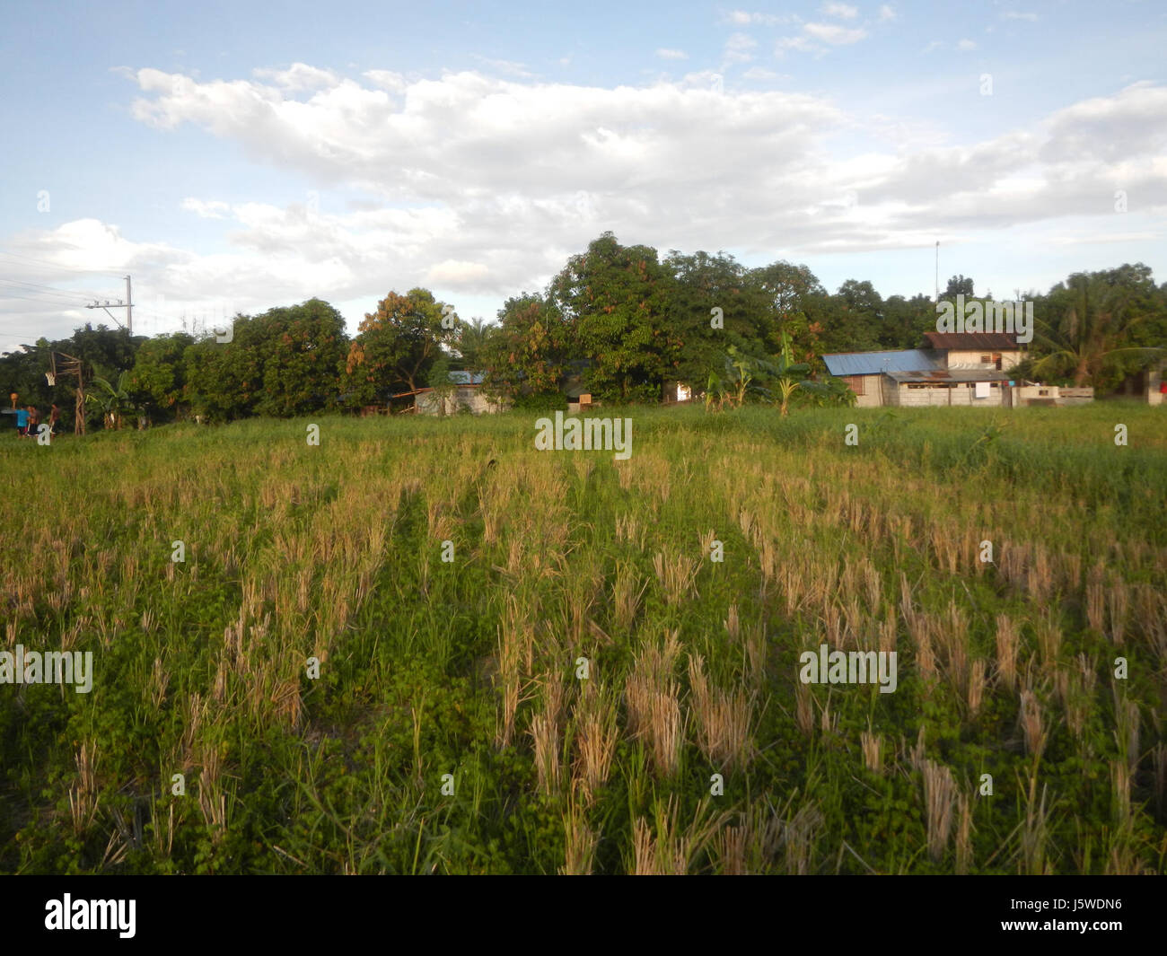 The image depicts the fields and roads of Barangay Batia in Bocaue ...
