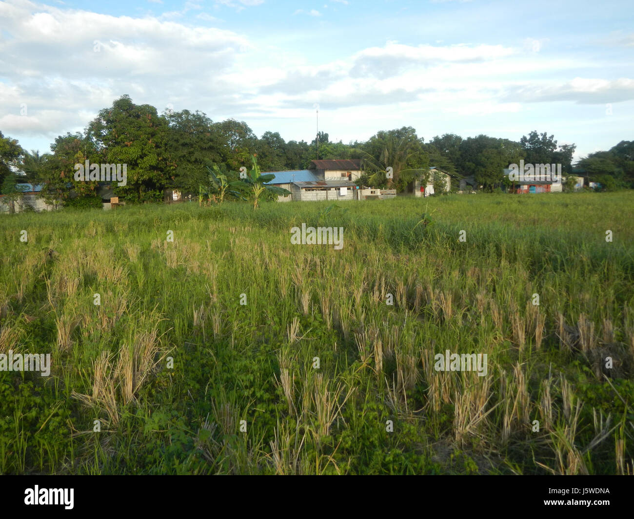 0377 Barangay Batia Bocaue Bulacan Fields Roads 07 Stock Photo - Alamy