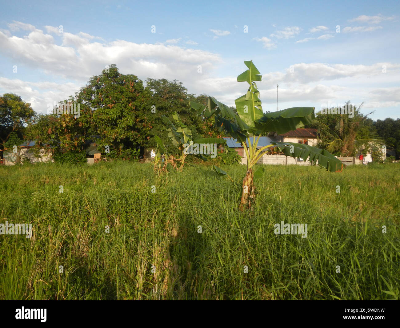 0377 Barangay Batia Bocaue Bulacan Fields Roads 20 Stock Photo - Alamy