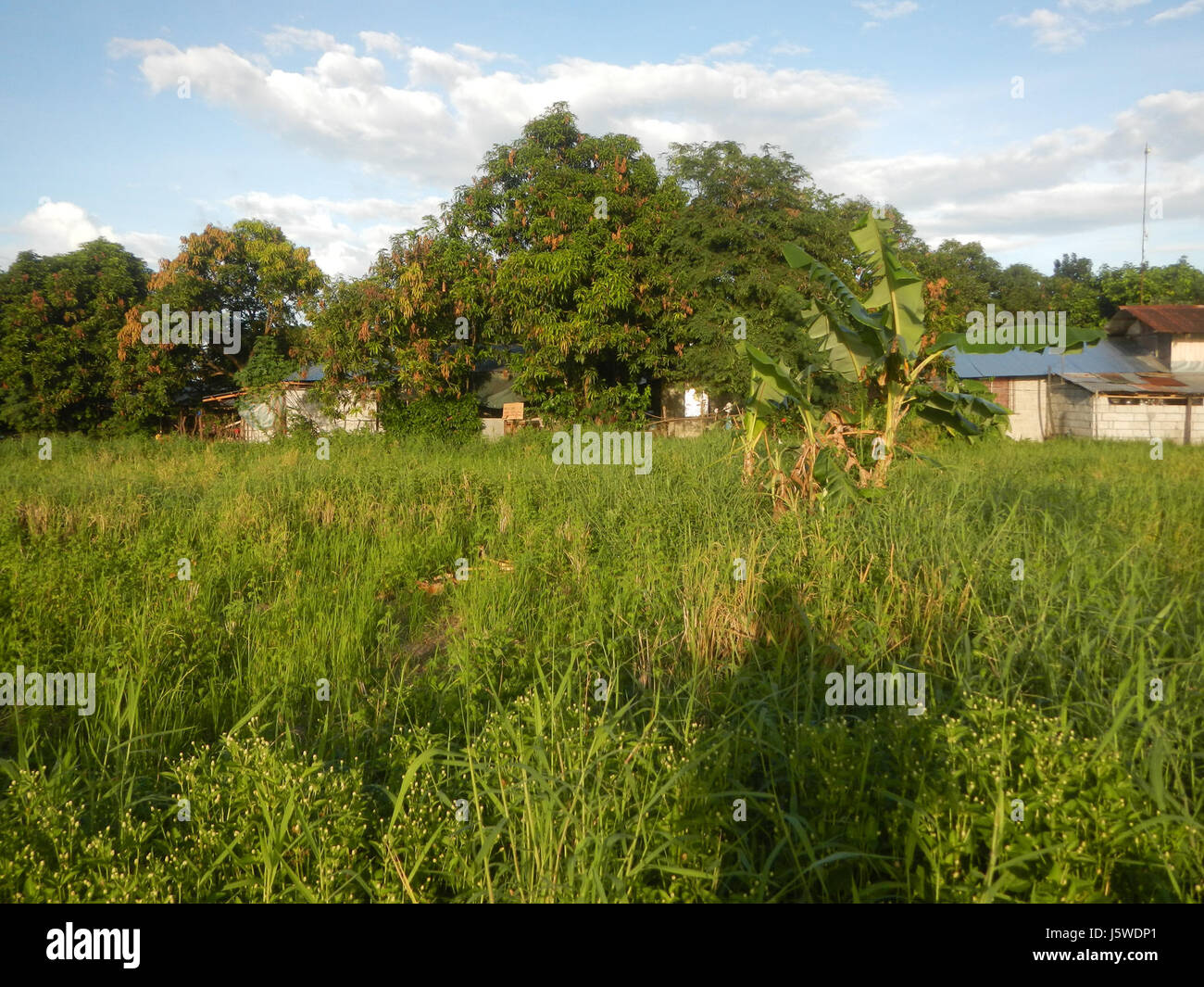 0377 Barangay Batia Bocaue Bulacan Fields Roads 24 Stock Photo - Alamy