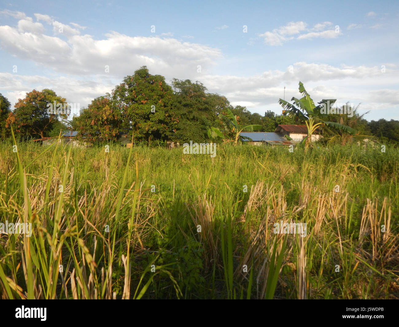 0402 Barangay Batia Bocaue Bulacan Fields Roads 09 Stock Photo - Alamy