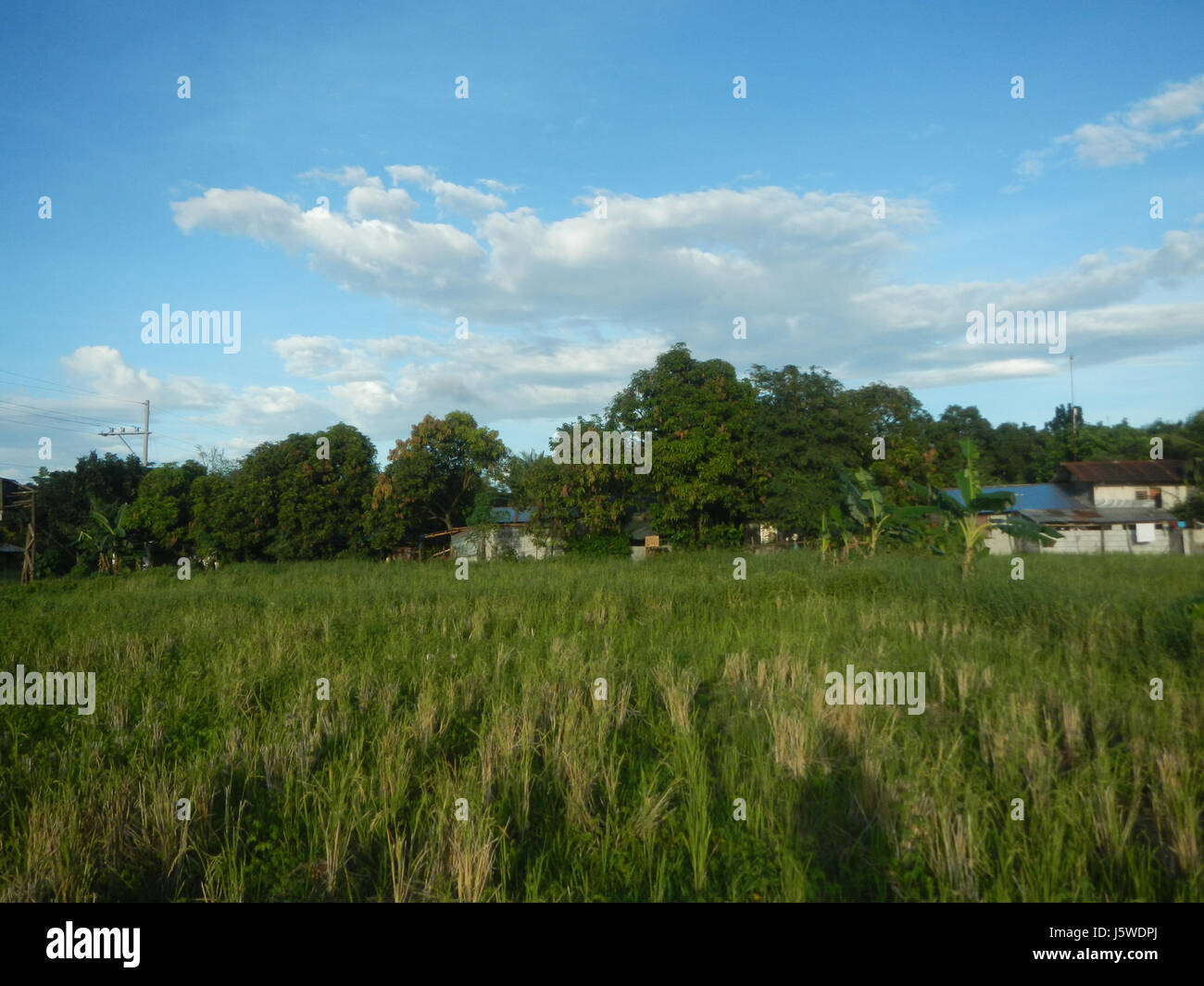0402 Barangay Batia Bocaue Bulacan Fields Roads 15 Stock Photo - Alamy