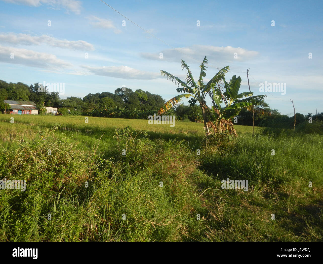 0427 Barangay Batia Bocaue Bulacan Fields Roads 17 Stock Photo - Alamy