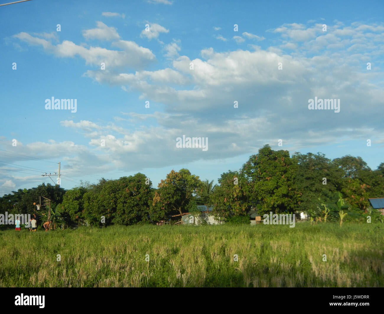 The Barangay Batia in Bocaue, Bulacan, is a rural area characterized by ...