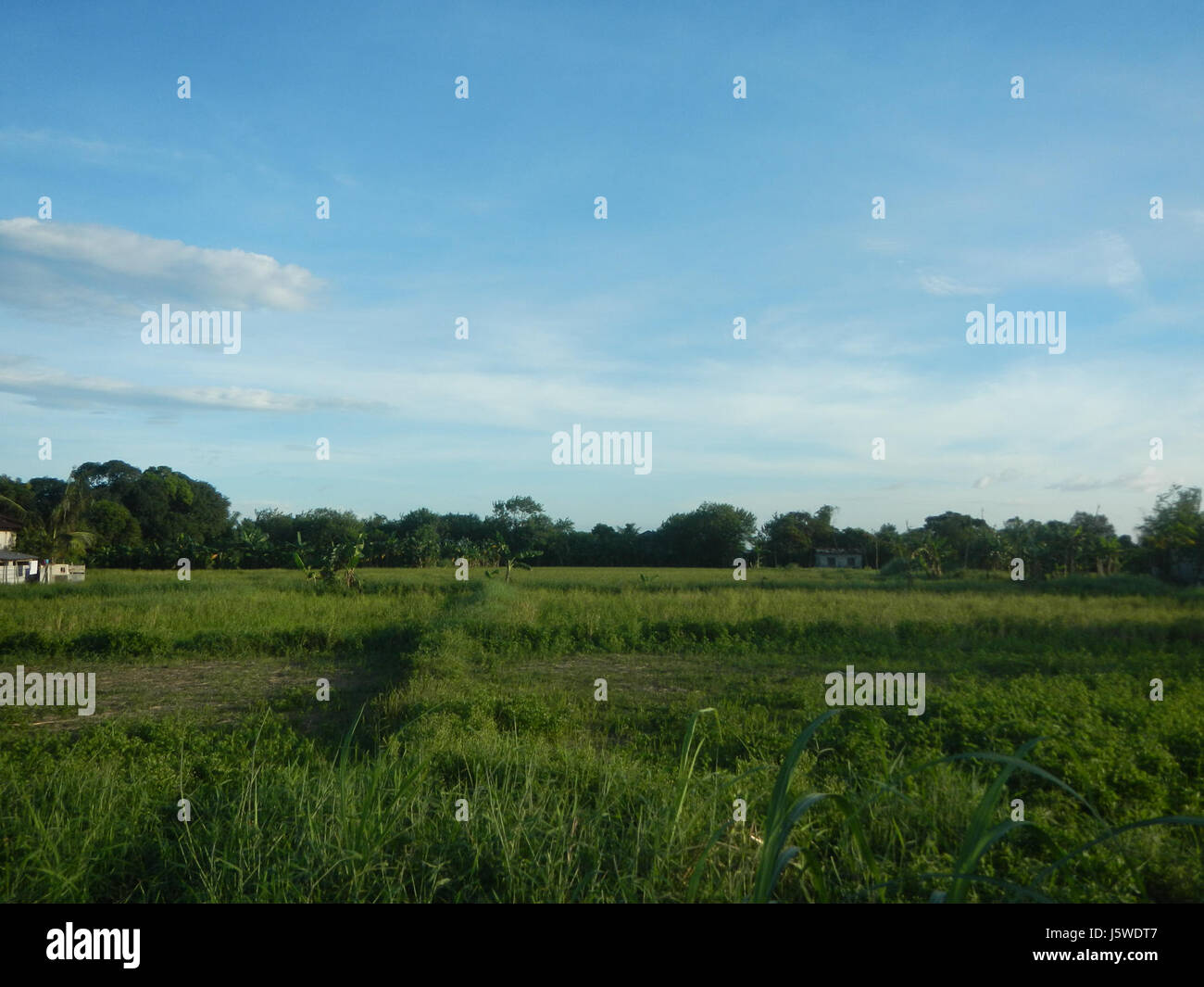 0452 Barangay Batia Bocaue Bulacan Fields Roads 09 Stock Photo - Alamy