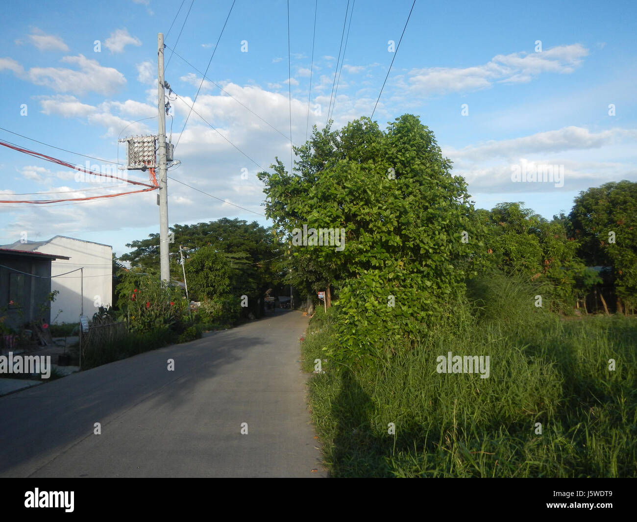 This image depicts the fields and roads in Barangay Batia, Bocaue ...