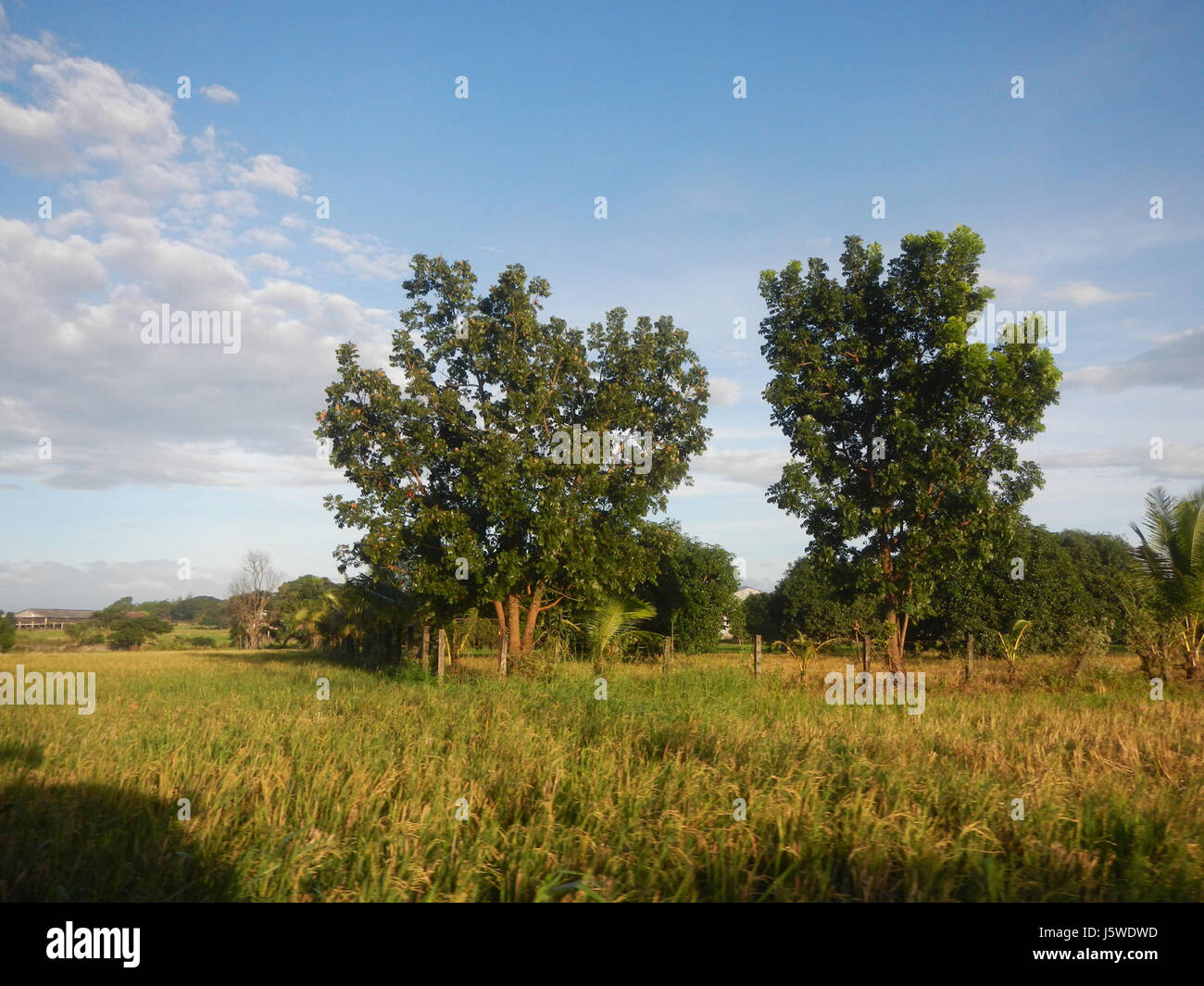 A reference to Barangay Bulacan in the Pandi area, focusing on the ...