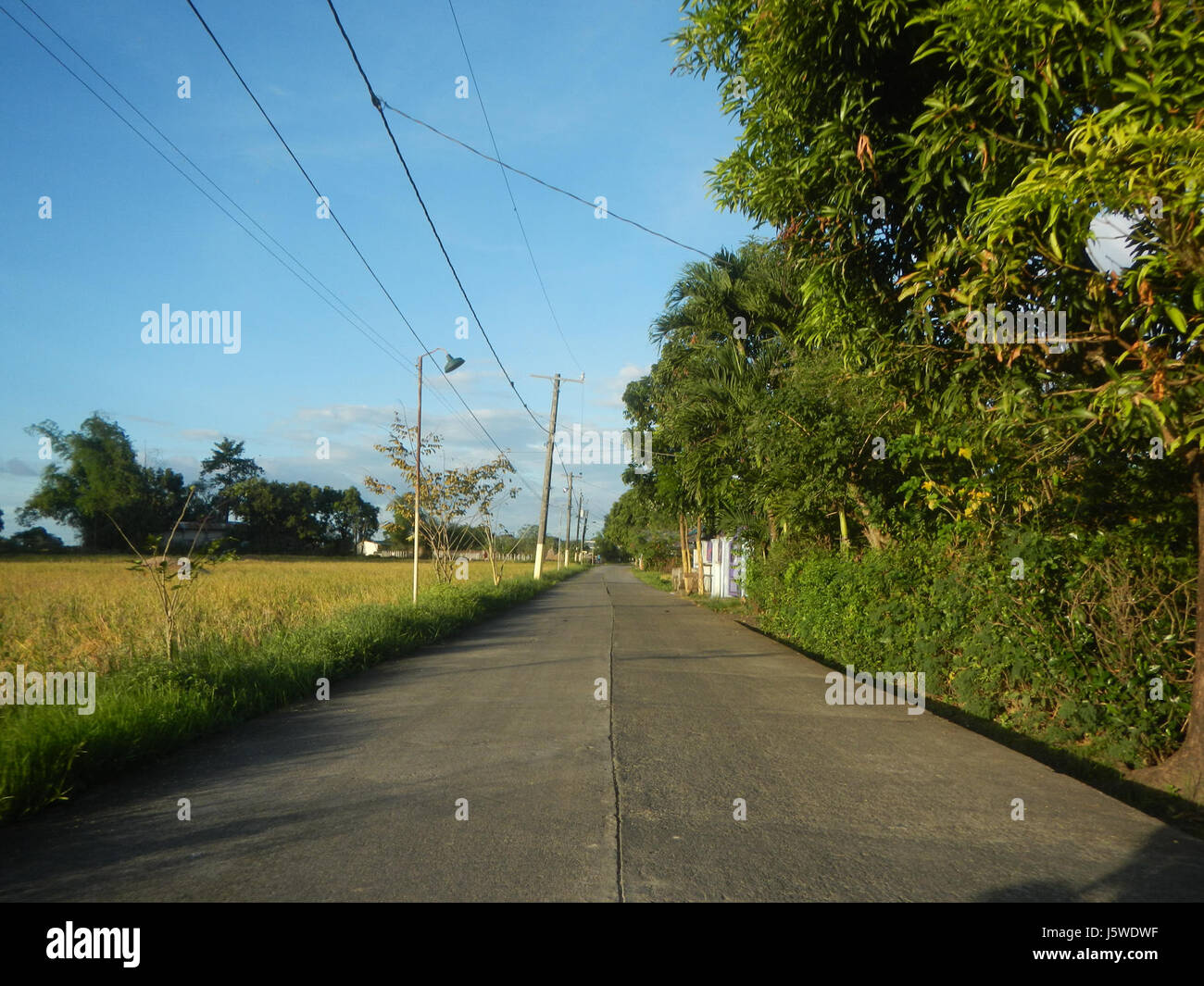 This scene from Barangay Bulacan shows the Baka-bakahan (cow pastures ...