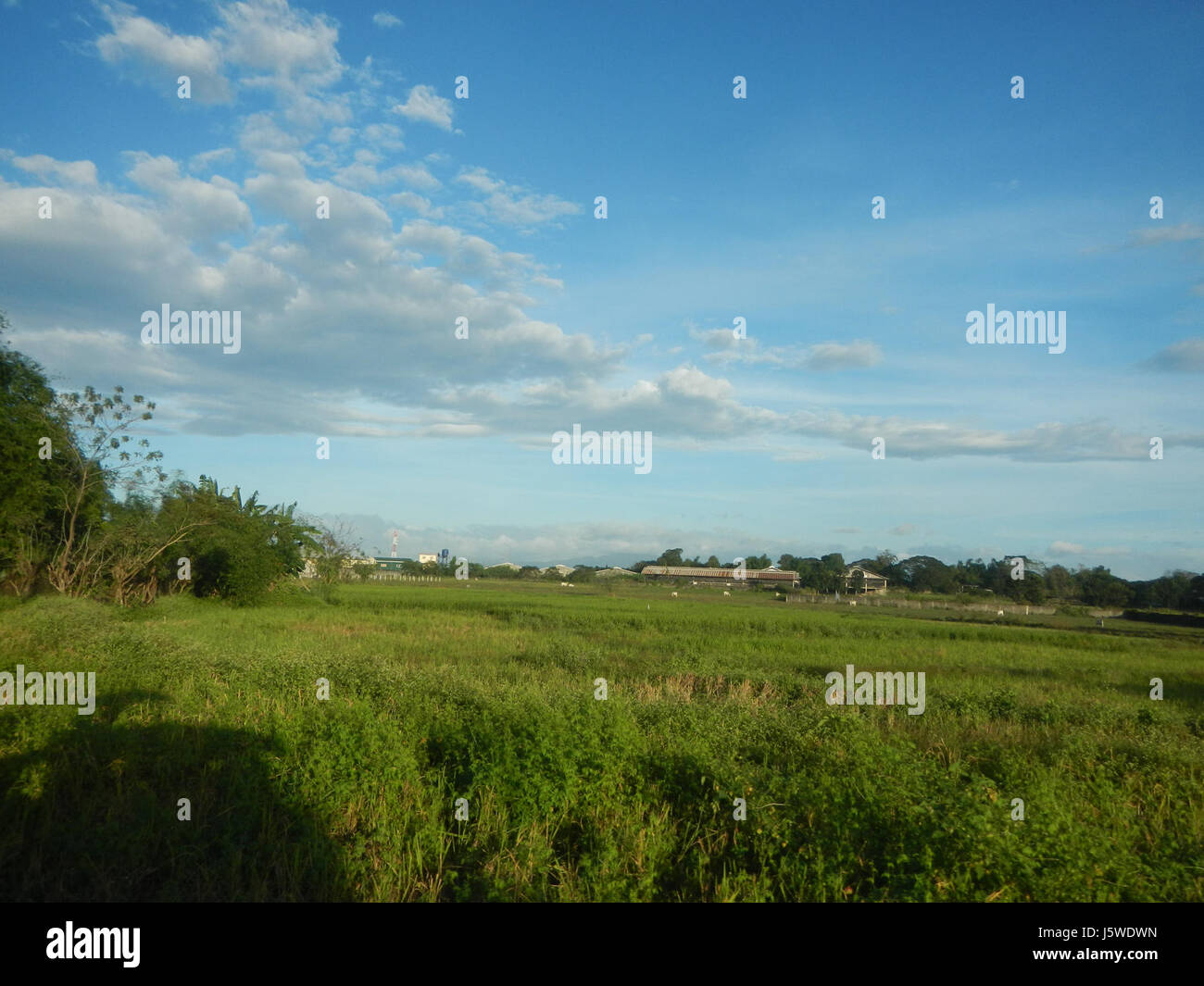 0481 Barangay Bulacan Fields Baka-bakahan, Pandi Roads 23 Stock Photo ...