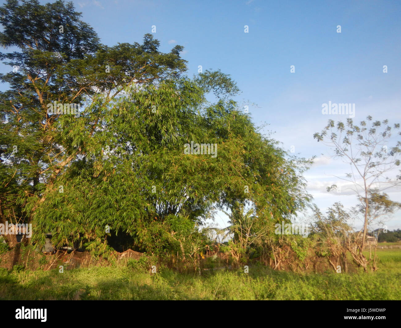 0481 Barangay Bulacan Fields Baka-bakahan, Pandi Roads 24 Stock Photo ...