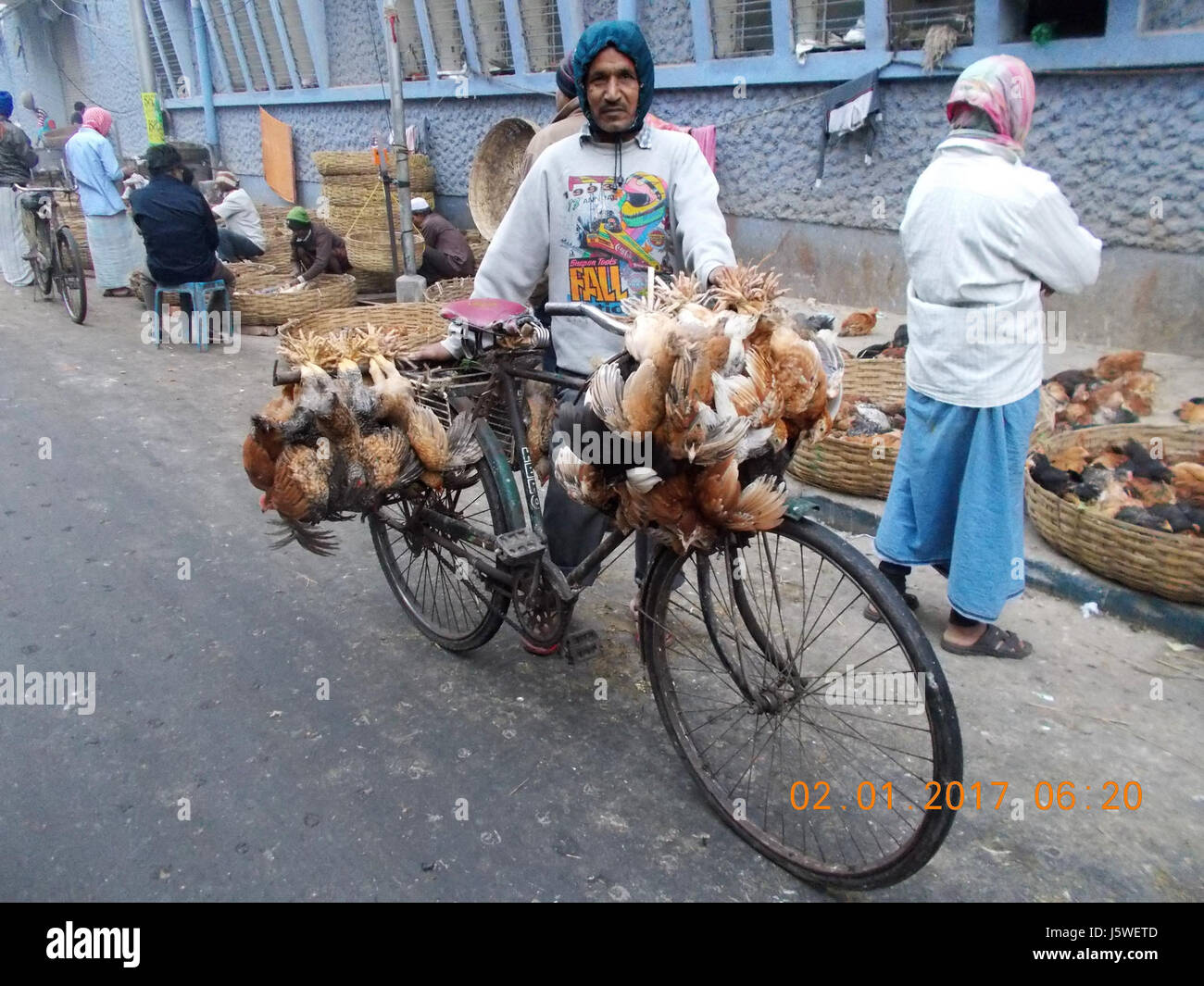 This photograph depicts a form of transport in which chickens are ...