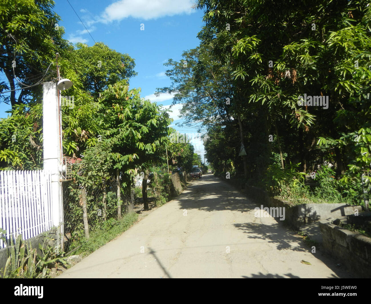 A view of the paddy fields in the Ilog-Bulo area of San Miguel, Bulacan ...