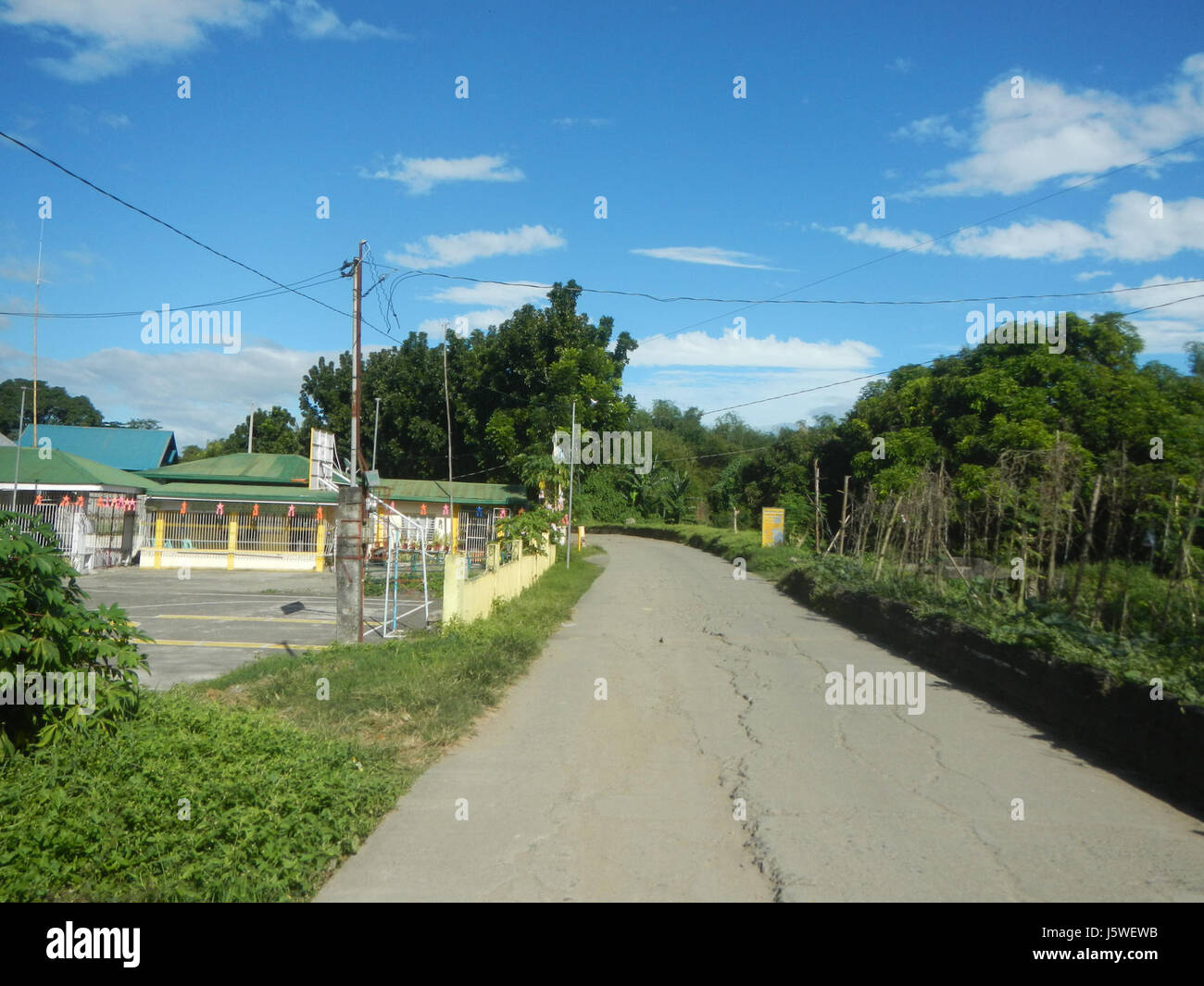 An image of paddy fields in the Ilog-Bulo area of San Miguel, Bulacan ...