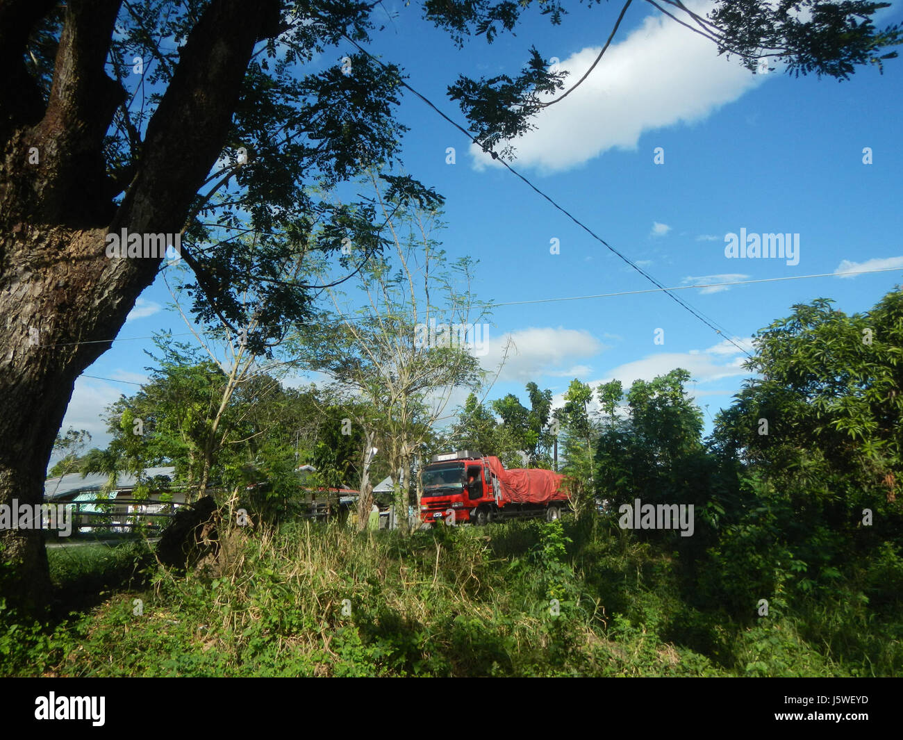 0065 Paddy fields Ilog-Bulo San Miguel Bulacan Farm Market Road 25 ...