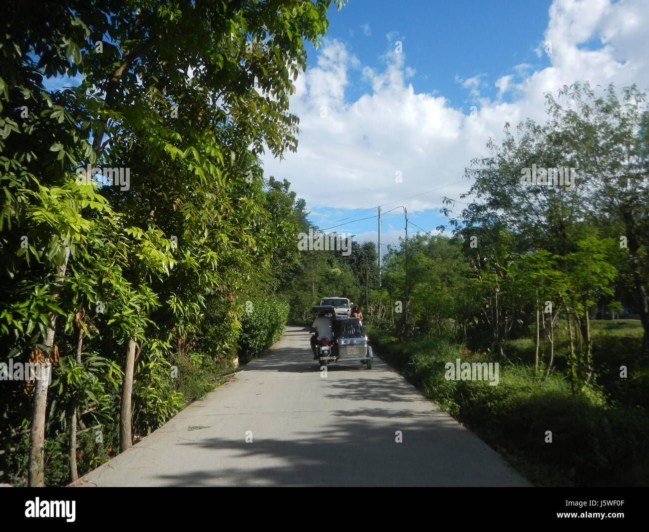 This image documents the rice paddies in Ilog-Bulo, San Miguel, Bulacan ...