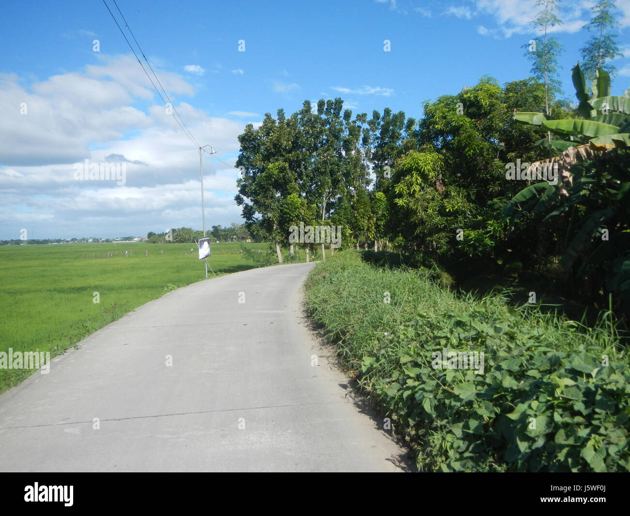 0117 Paddy fields Ilog-Bulo San Miguel Bulacan Farm Market Road 20 ...