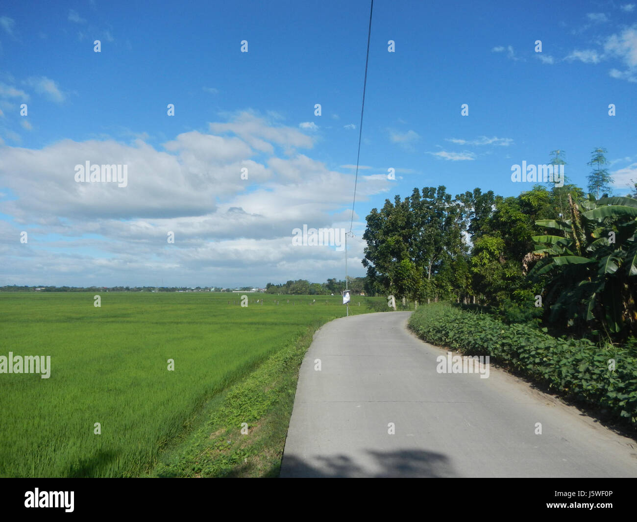 0117 Paddy fields Ilog-Bulo San Miguel Bulacan Farm Market Road 23 ...