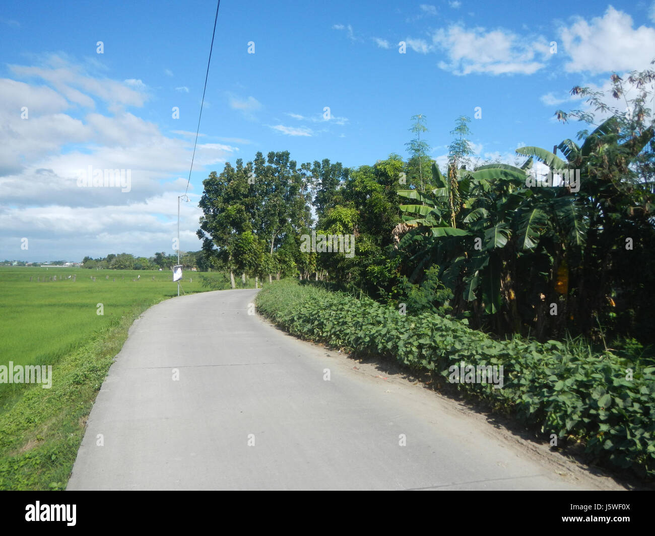 This image depicts the paddy fields in Ilog-Bulo, San Miguel, Bulacan ...