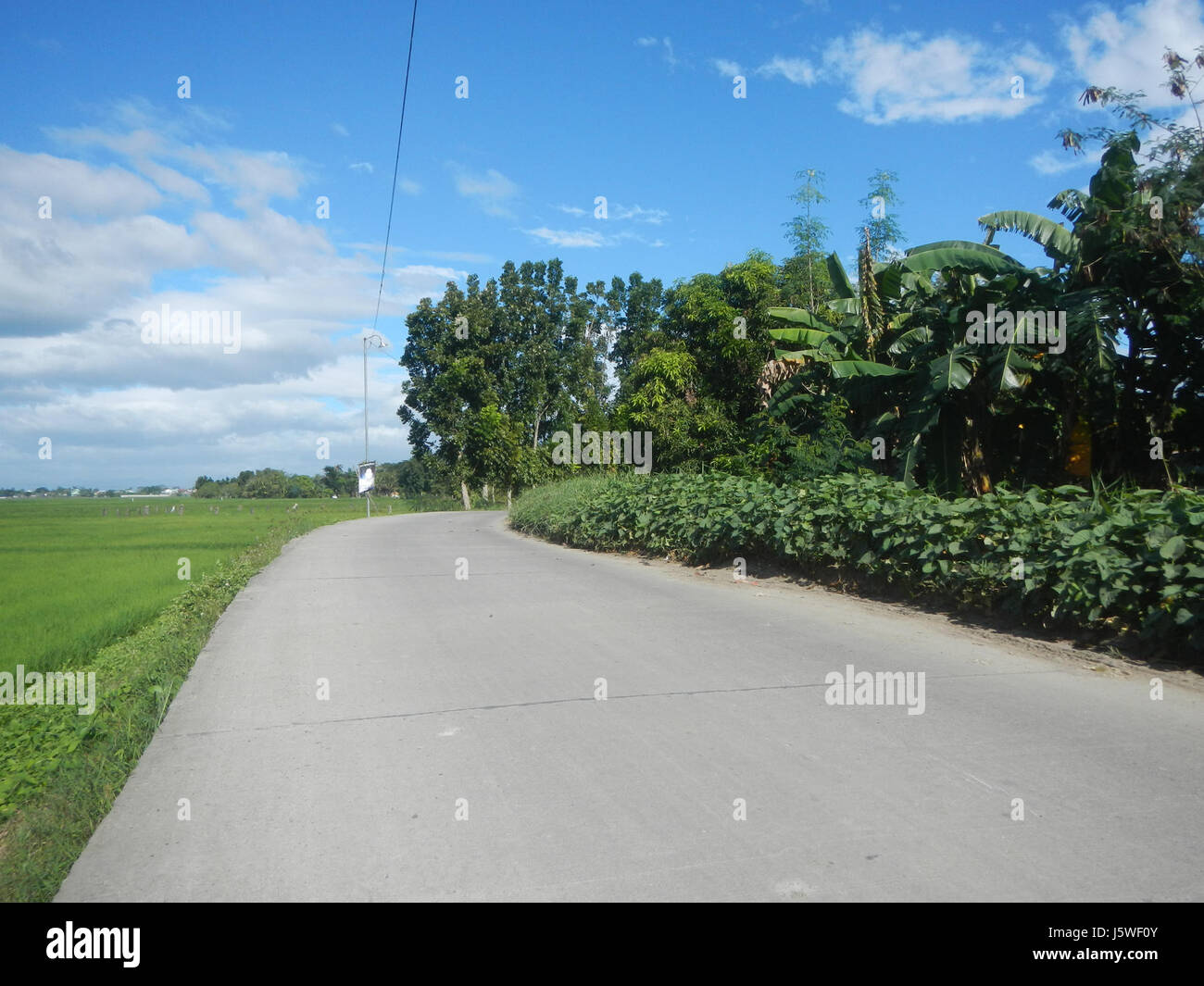 0145 Paddy fields Ilog-Bulo San Miguel Bulacan Farm Market Road 03 ...