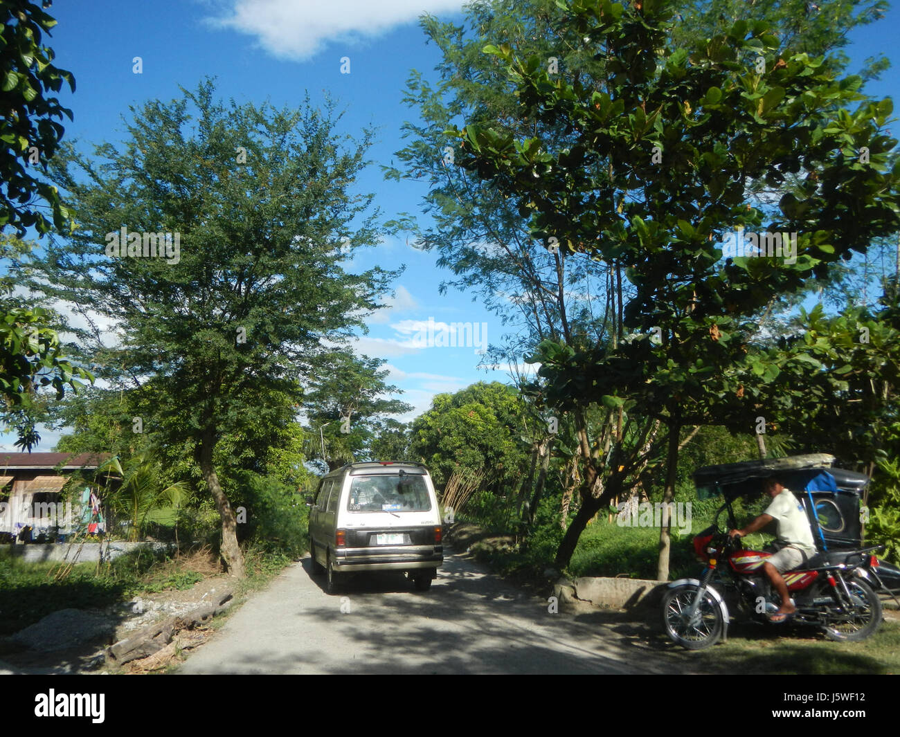 A photograph of paddy fields in Ilog-Bulo, San Miguel, Bulacan, taken ...
