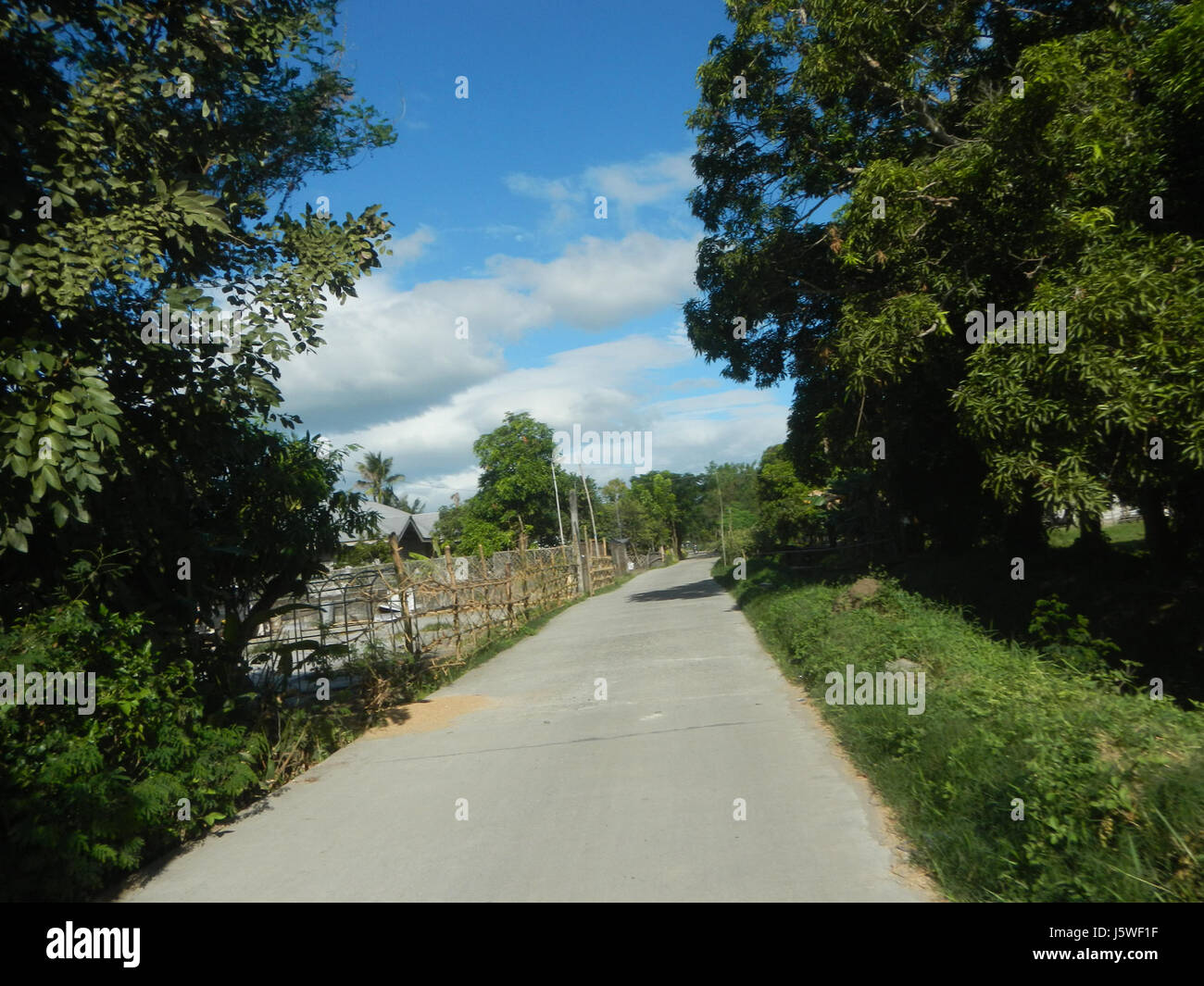 0145 Paddy fields Ilog-Bulo San Miguel Bulacan Farm Market Road 18 ...