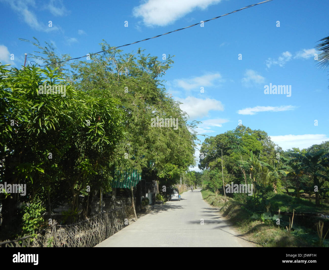 Paddy fields in Ilog-Bulo, San Miguel, Bulacan, along the Farm Market ...