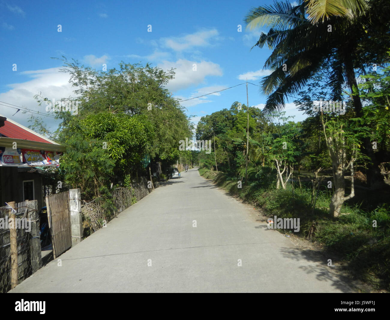 0145 Paddy fields Ilog-Bulo San Miguel Bulacan Farm Market Road 21 ...
