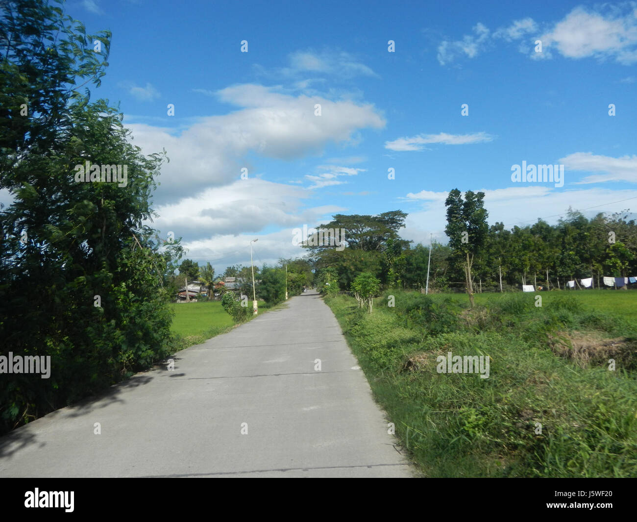 This photograph captures the expansive paddy fields of Ilog-Bulo in San ...