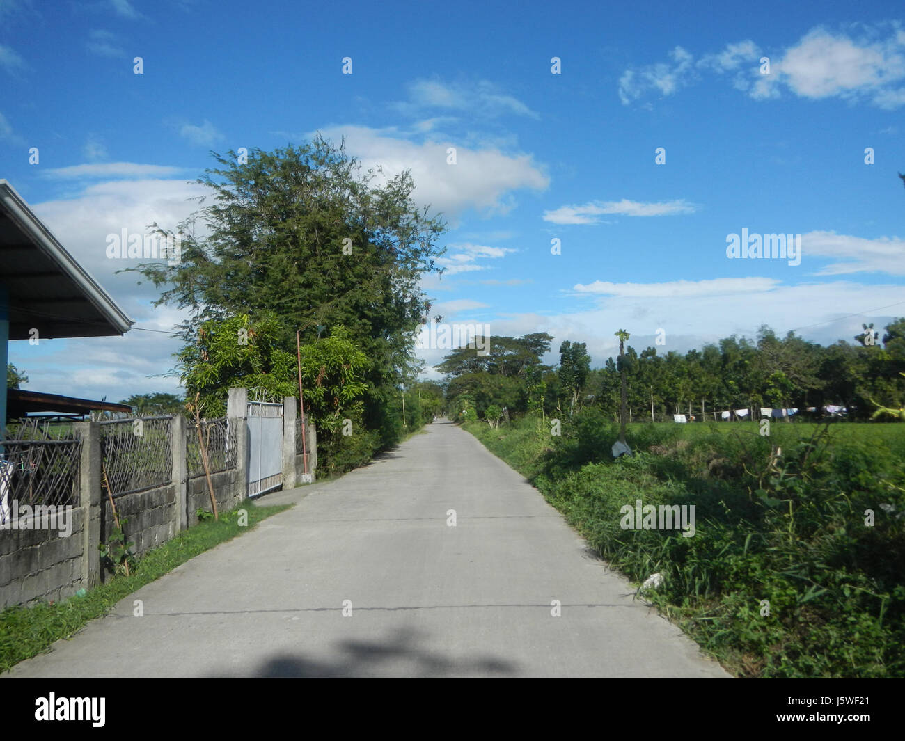 The image showcases the paddy fields of Ilog-Bulo in San Miguel ...