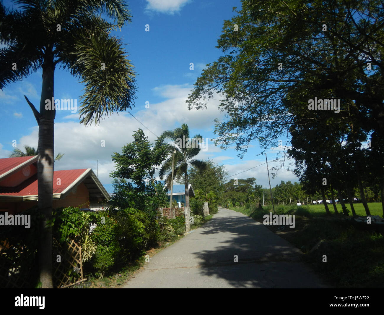 This image shows the paddy fields in Ilog-Bulo, San Miguel, Bulacan ...