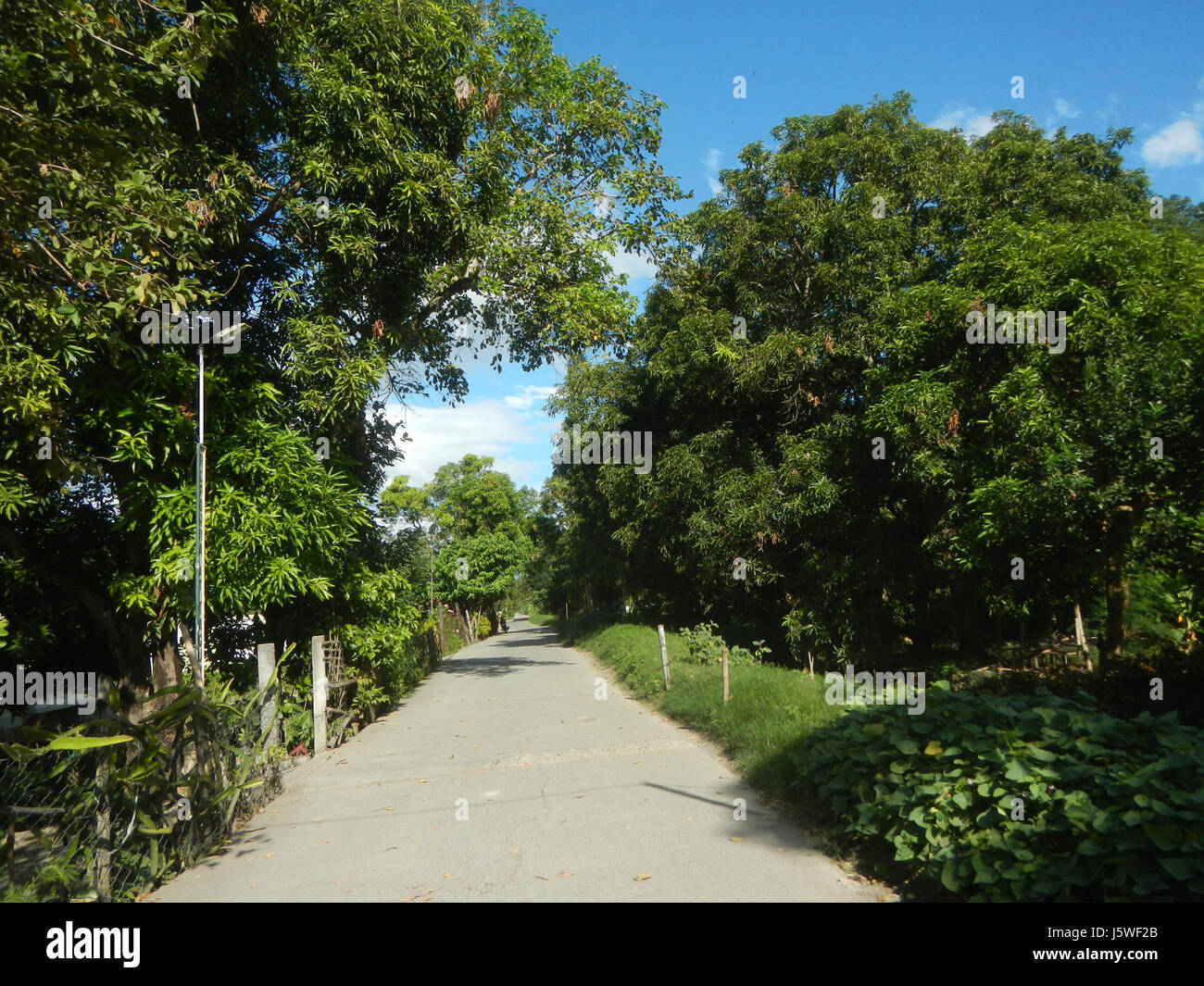 0170 Paddy fields Ilog-Bulo San Miguel Bulacan Farm Market Road 15 ...