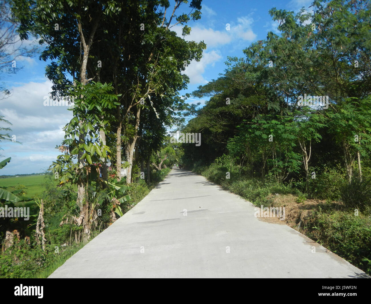 This reference highlights the agricultural landscape of Ilog-Bulo, San ...