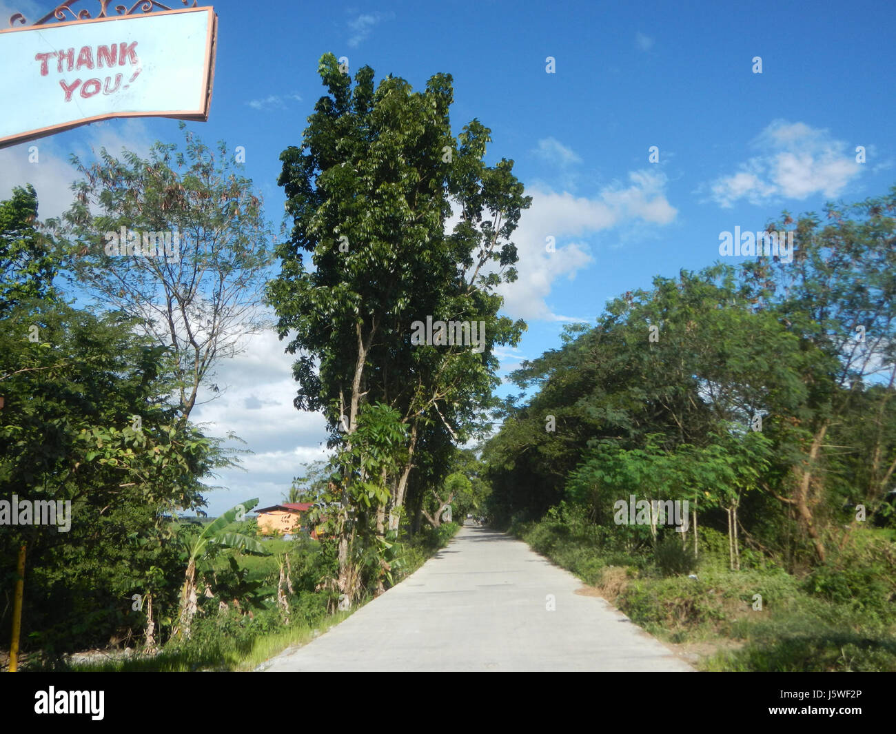 This image captures the scenic view of paddy fields in the Ilog-Bulo ...